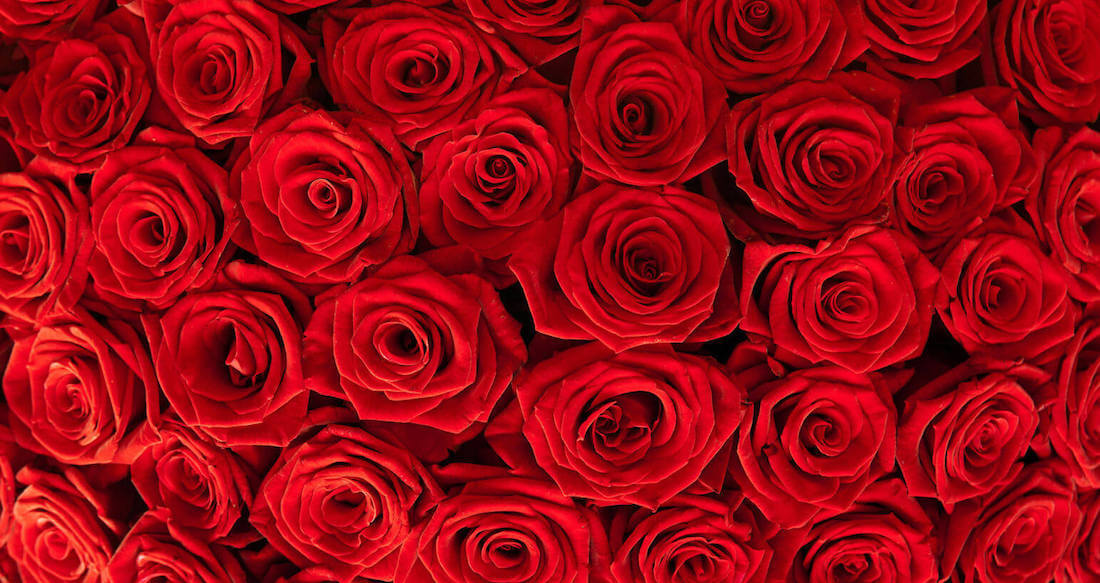 Tudor Rose Florist | East Anglia's leading wedding and events florist